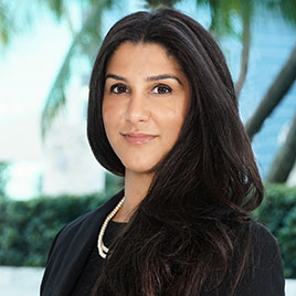 Our Team | Ver Ploeg & Marino, P.A.